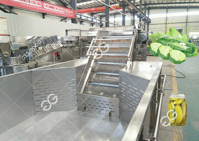 Industrial Cucumber Washer Cucumber Washing Processing Machine For ...